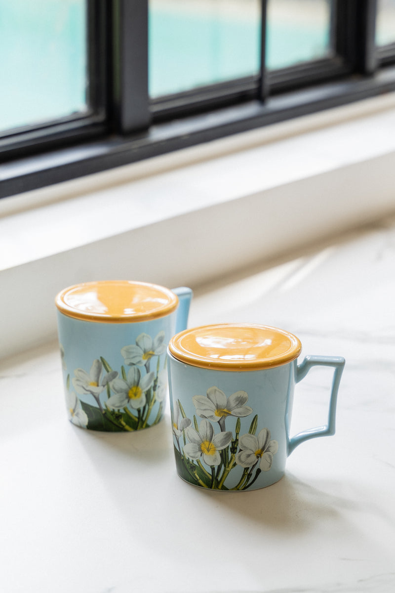 Ormocana – Topiary Store